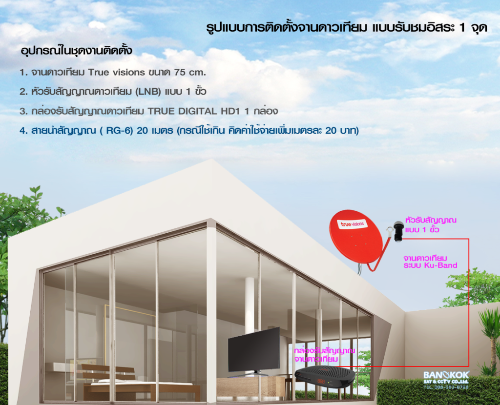 TRUEVISION - บริษัท บางกอก แซท แอนด์ ซีซีทีวี จำกัด